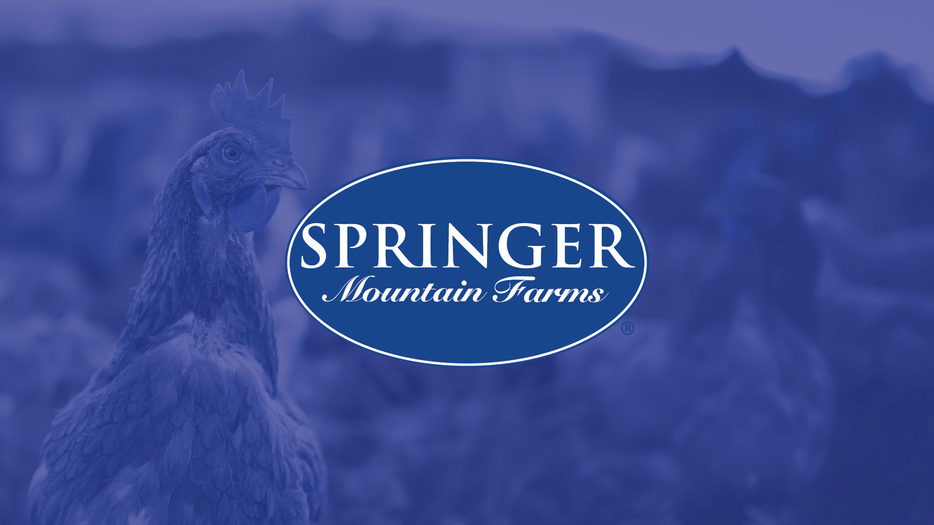Springer Mountain Farms - Dearing Group