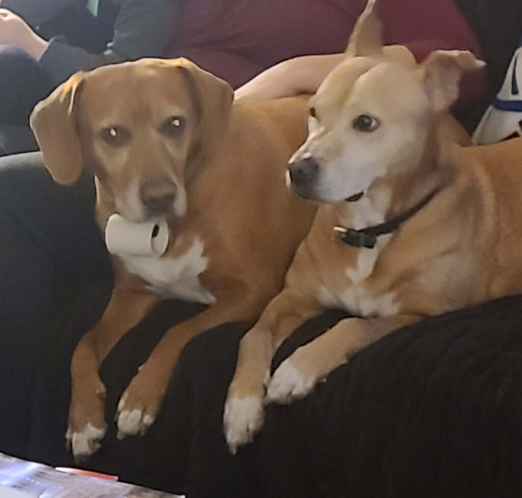 Virginia Myers - Dearing Group